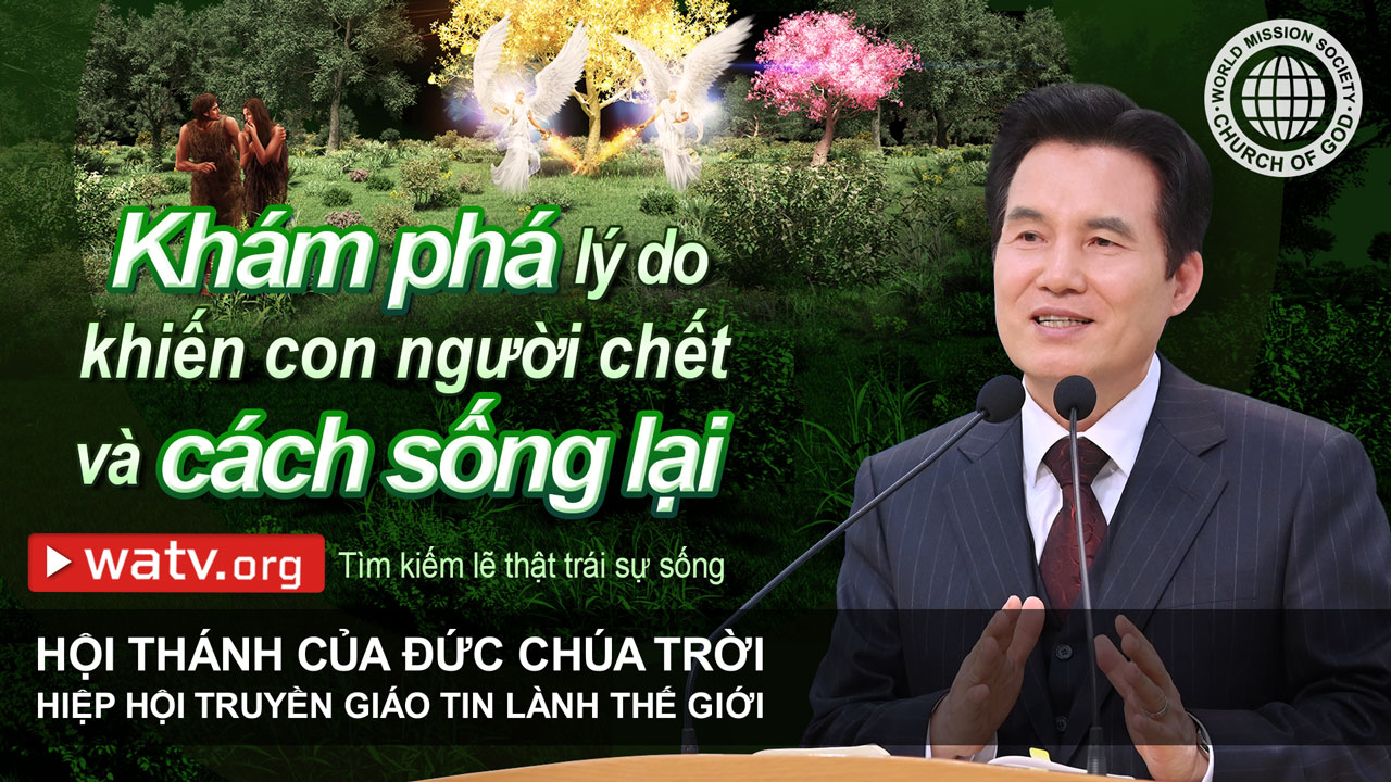 Watv Media Cast Hội Thánh Của Đức Chúa Trời Hiệp Hội Truyền Giáo Tin 2988