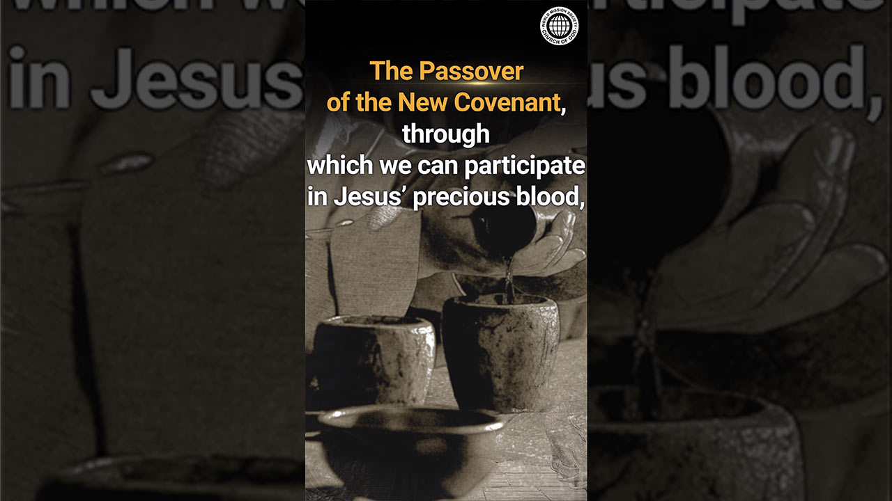 WATV Media Cast - World Mission Society Church of God