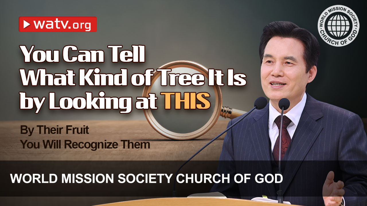 WATV Media Cast - World Mission Society Church of God
